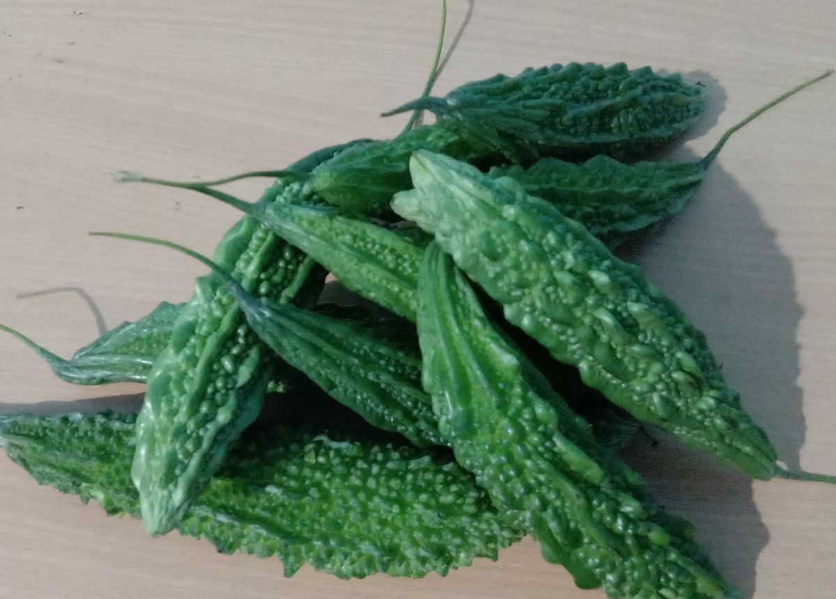 Di balik Rasa Pahit, Sayuran Pahit Banyak Khasiatnya untuk Tubuh